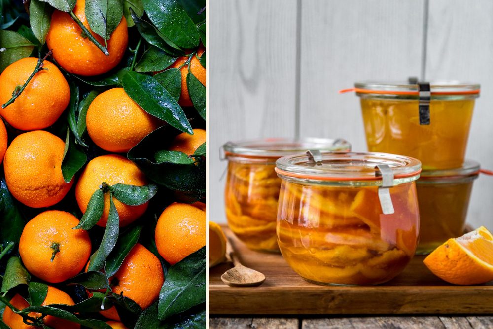 Preserved Citrus Peel – The Swag AU Preserved Citrus Peel – The Swag AU