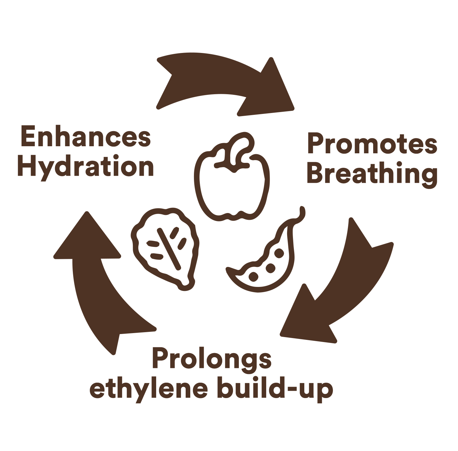 How The Swag Works – The Swag AU